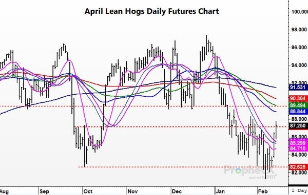 Today in Lean Hogs 2-14-2023 - Total Farm Marketing by Stewart-Peterson