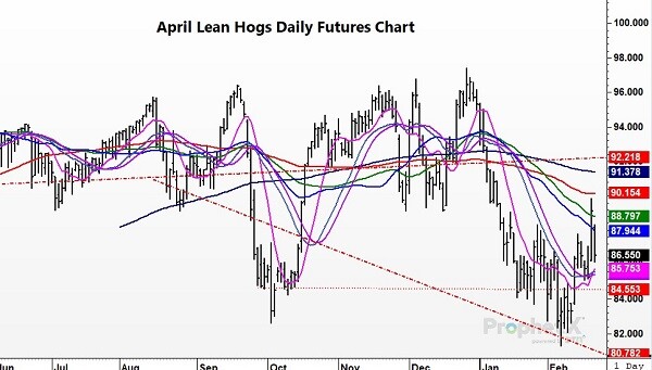 Today in Lean Hogs 02-22-2023 - Total Farm Marketing by Stewart-Peterson