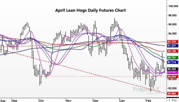 Today in Lean Hogs 02-23-2023 - Total Farm Marketing by Stewart-Peterson