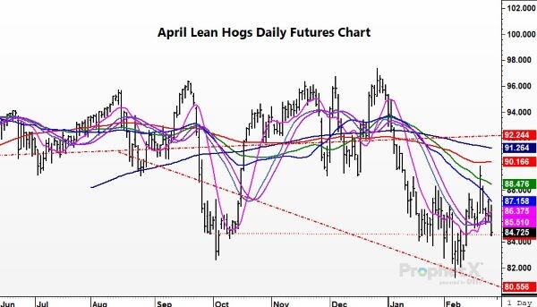 Today in Lean Hogs 2-27-2023 - Total Farm Marketing by Stewart-Peterson