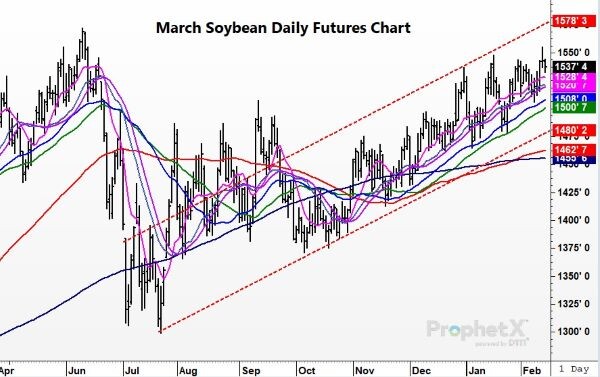 Today in Soybeans 2-14-2023 - Total Farm Marketing by Stewart-Peterson