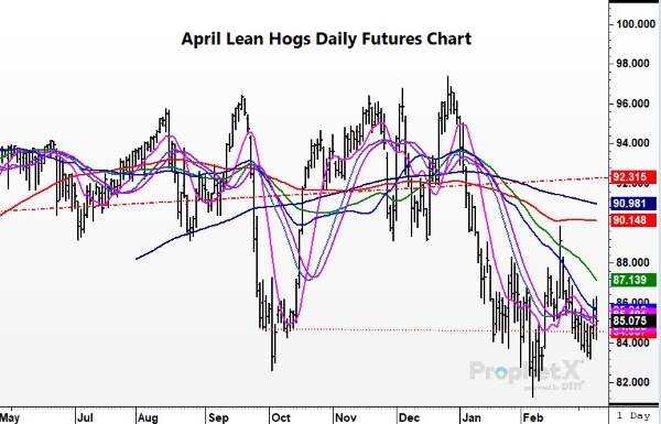 Today in Lean Hogs 03-09-2023 - Total Farm Marketing by Stewart-Peterson