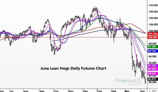 Today in Lean Hogs 4-14-2023 - Total Farm Marketing by Stewart-Peterson