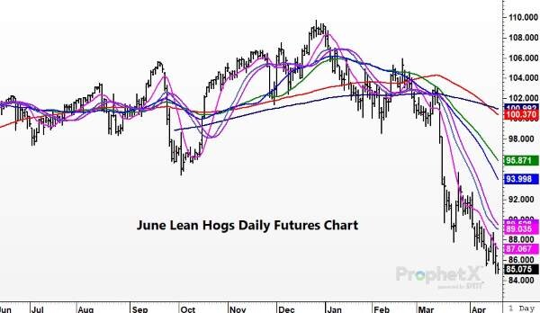 Today in Lean Hogs 04-20-2023 - Total Farm Marketing by Stewart-Peterson